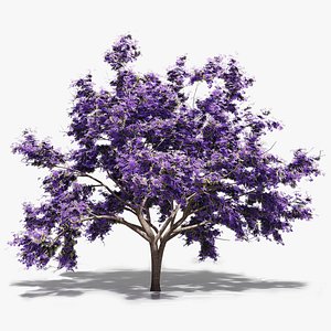 3d model jacaranda tree forest