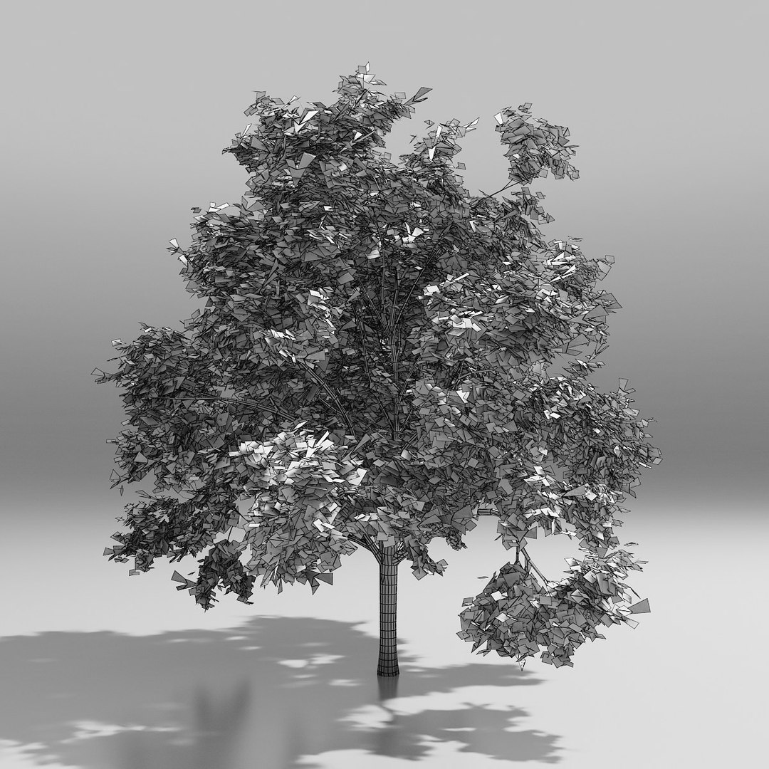 Flowerg Jacaranda Tree 3d Max