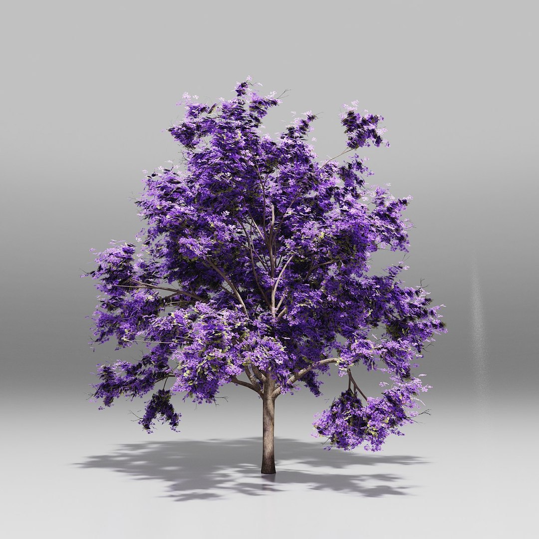 Flowerg Jacaranda Tree 3d Max