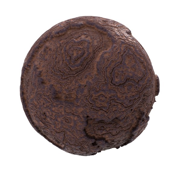 3D Planet X - TurboSquid 1922521