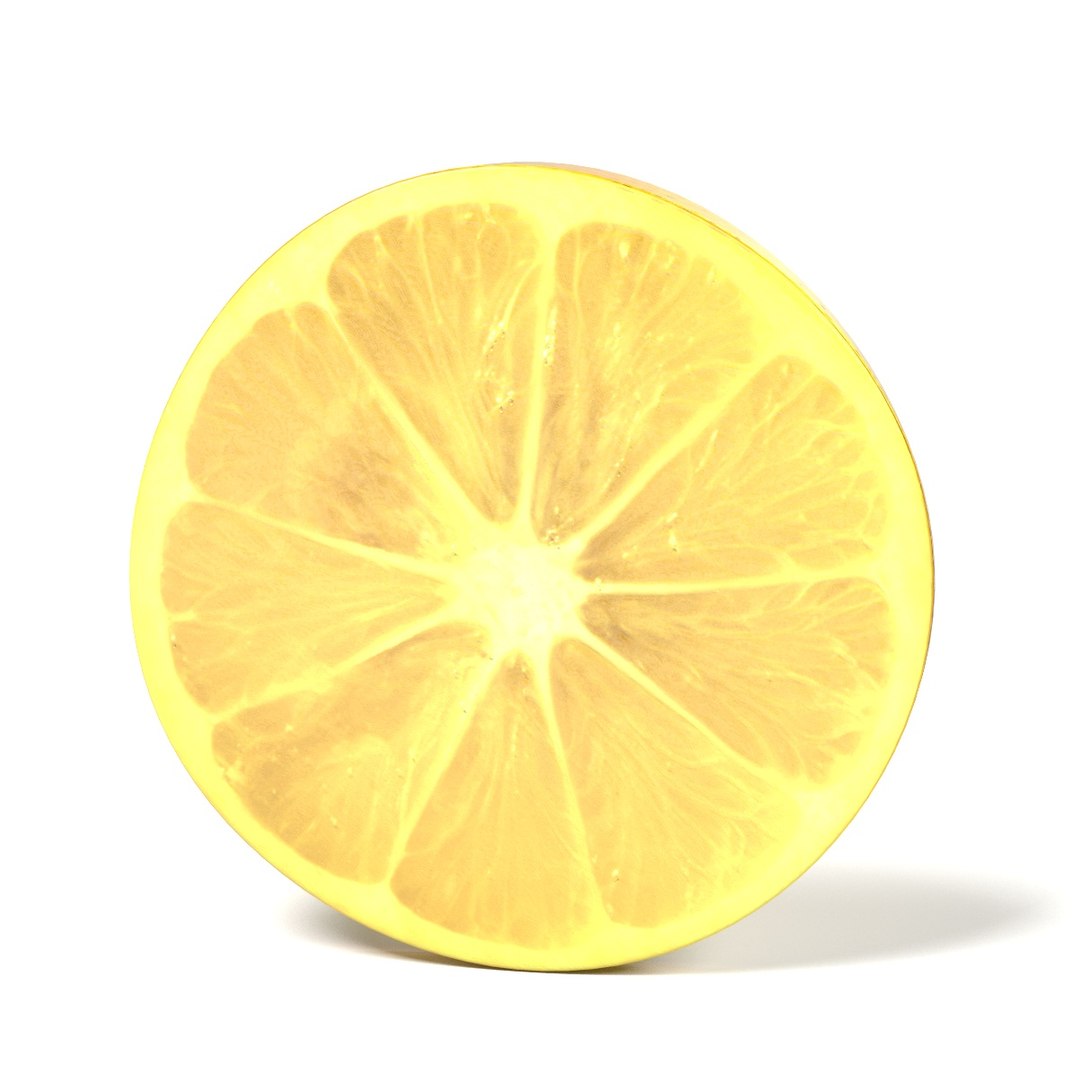 3d Lemon Slice