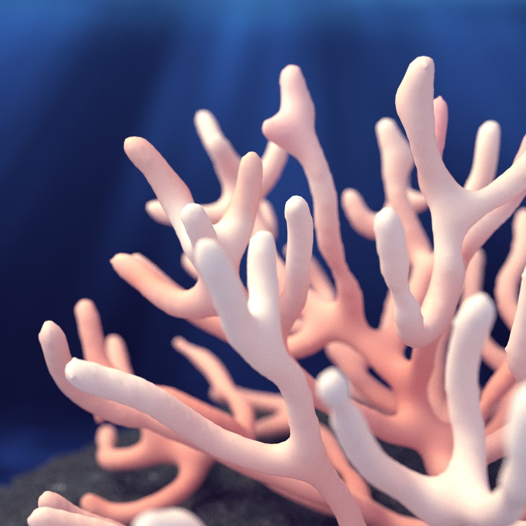 3D Coral - TurboSquid 1532184