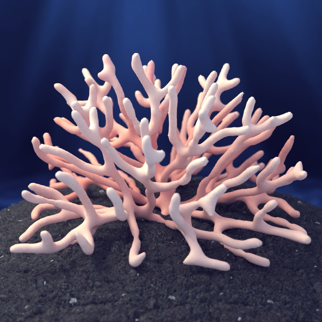 3D Coral - TurboSquid 1532184