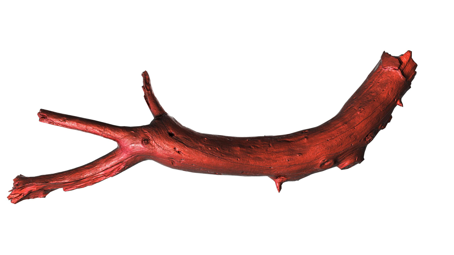 3d Branch Rotten Wood Model