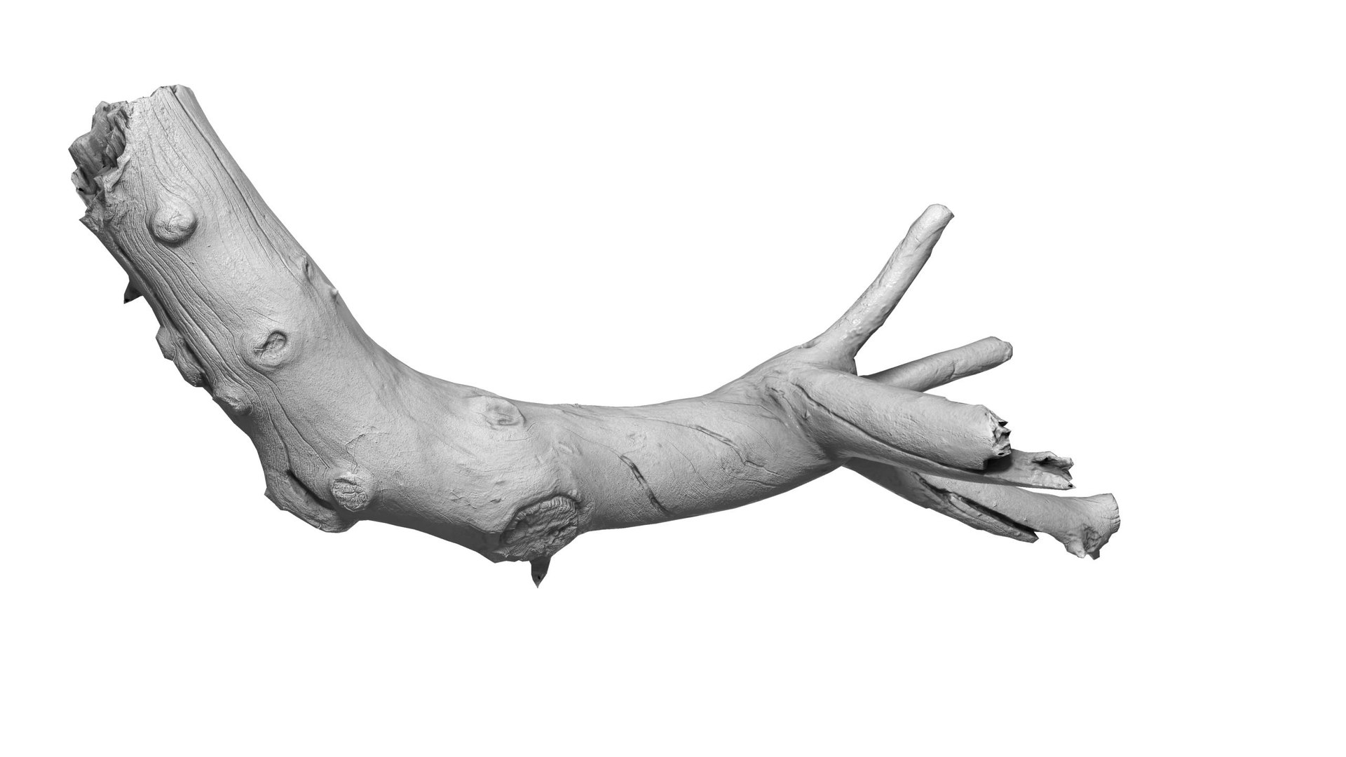 3d Branch Rotten Wood Model
