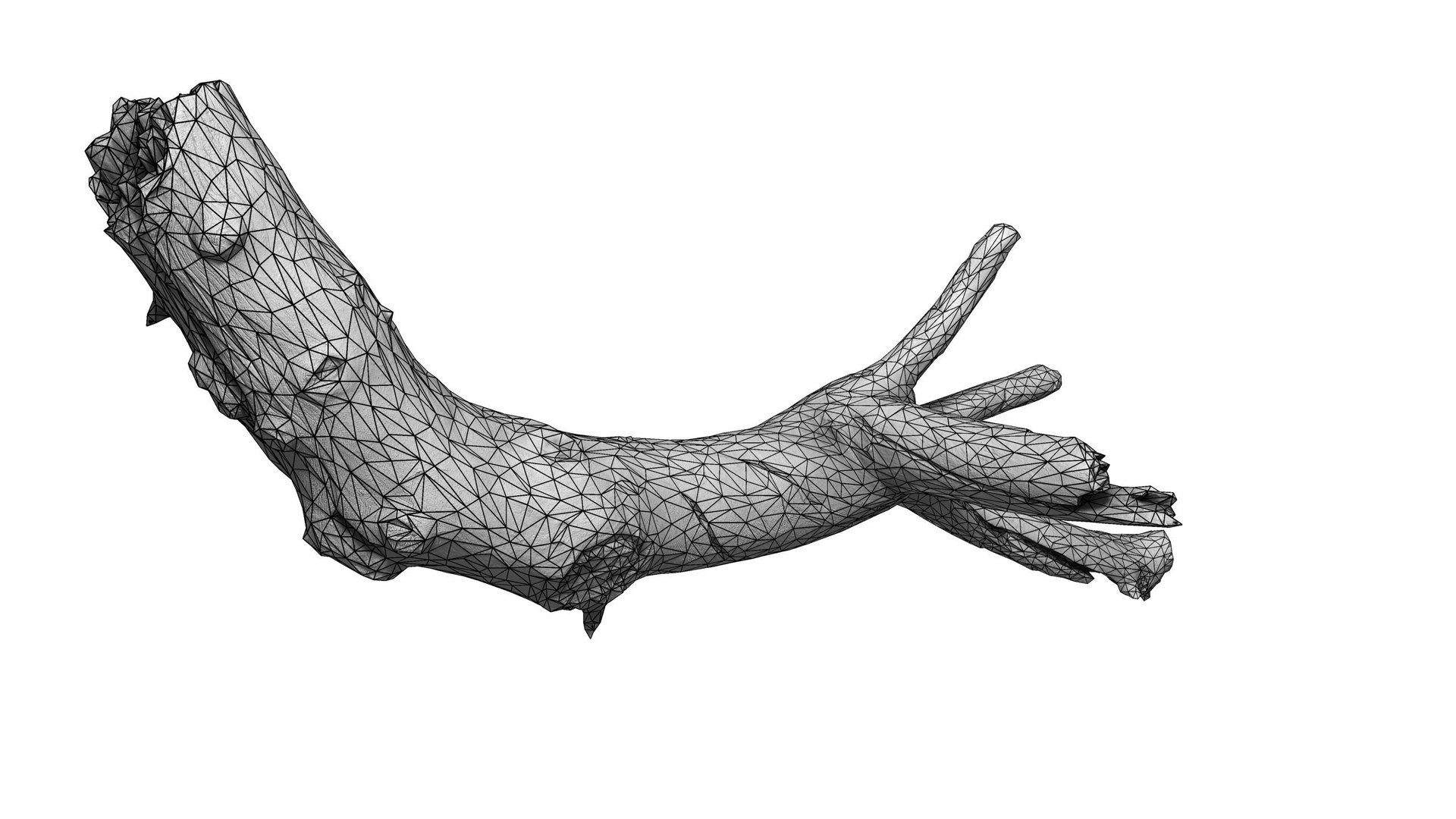 3d Branch Rotten Wood Model