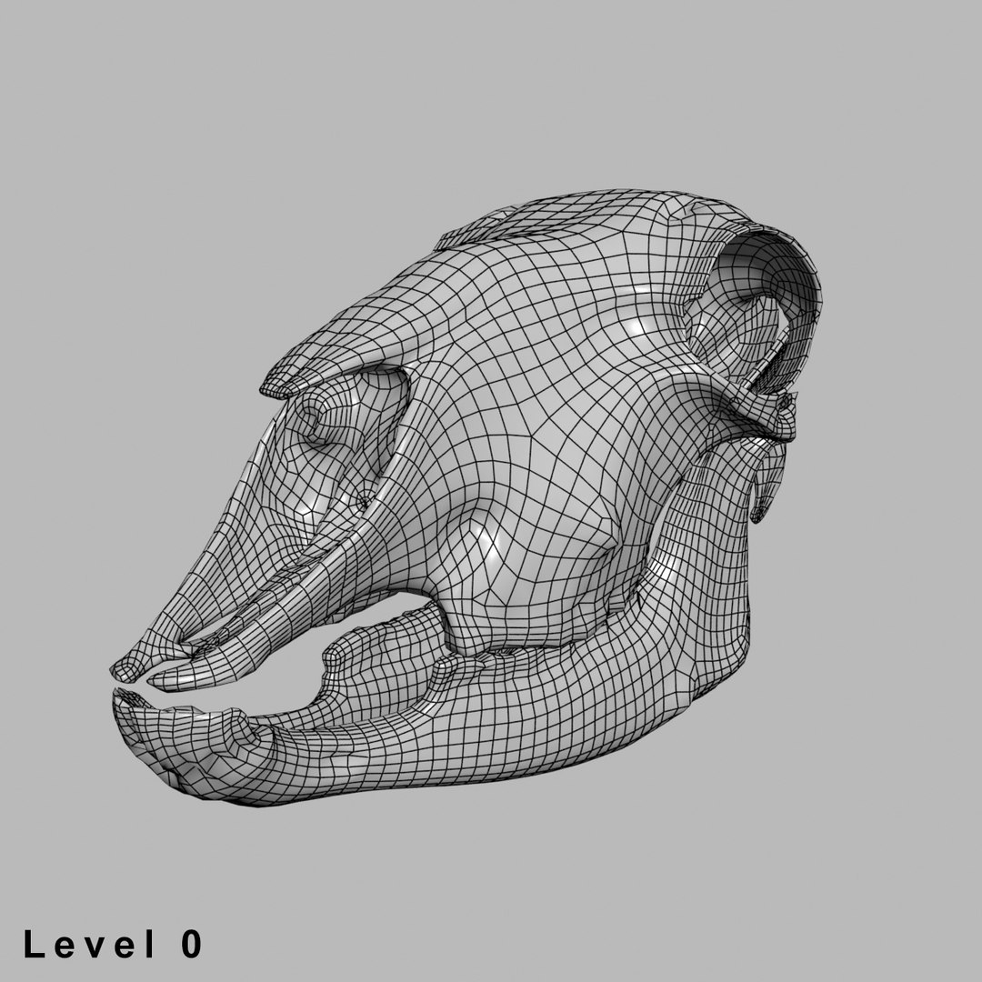 Doe Skull 3d Max