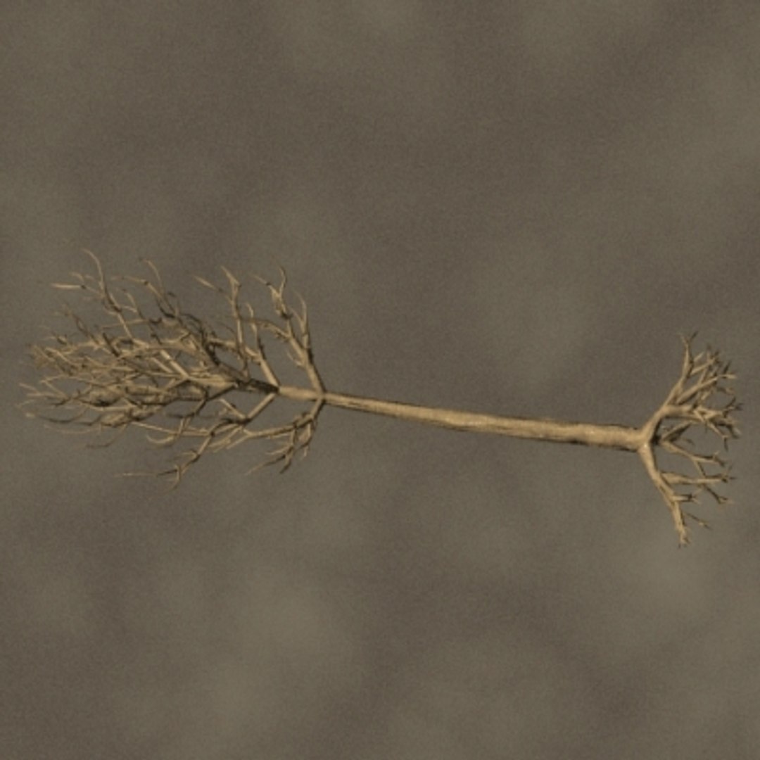 fallen tree zipped 3ds