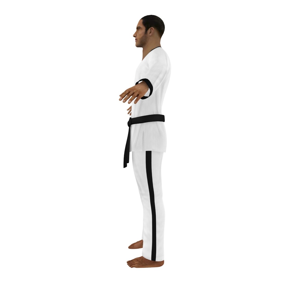 Taekwondo Martial Artist 3D Model - TurboSquid 1292291