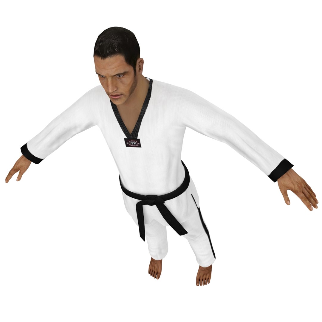 Taekwondo Martial Artist 3D Model - TurboSquid 1292291