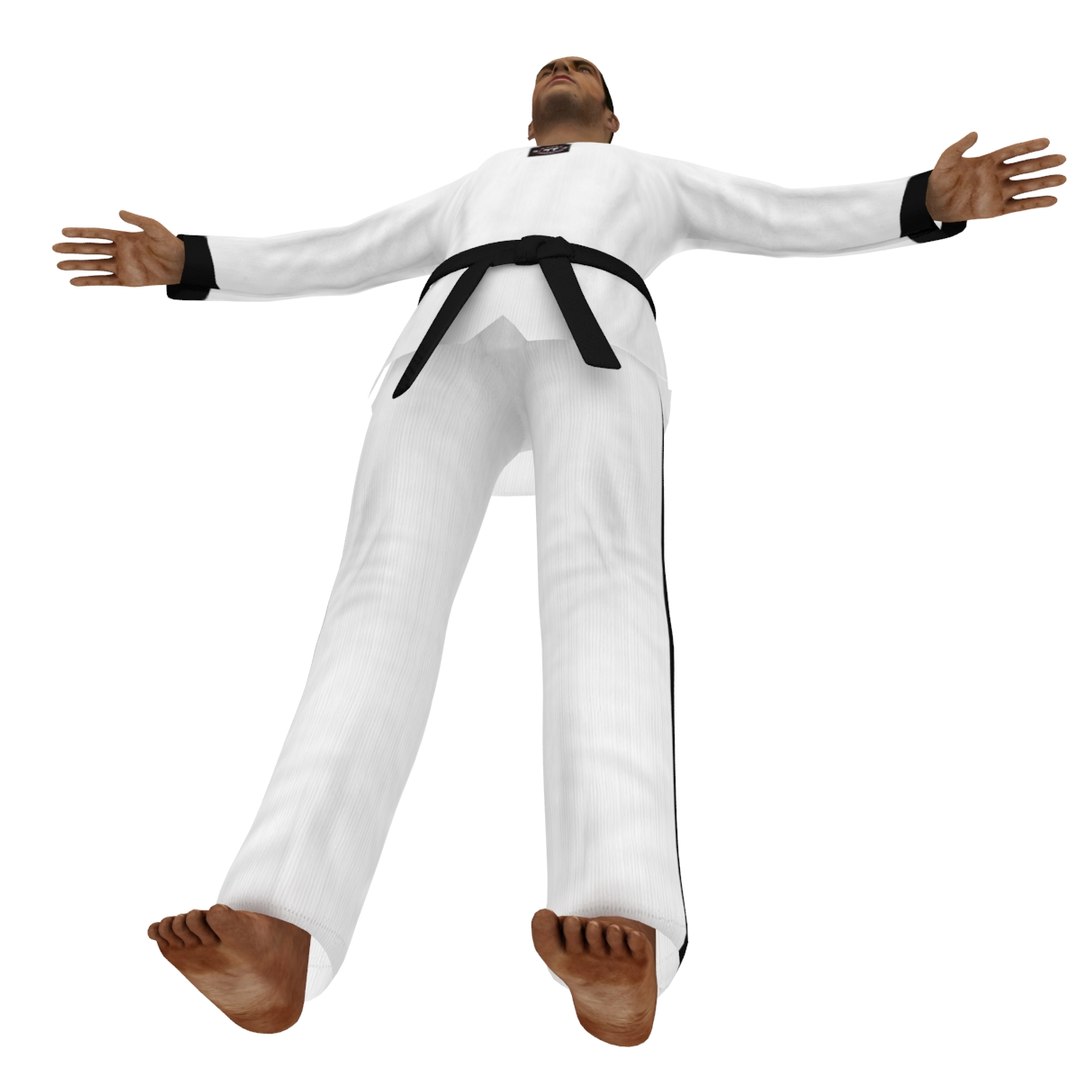 Taekwondo Martial Artist 3D Model - TurboSquid 1292291