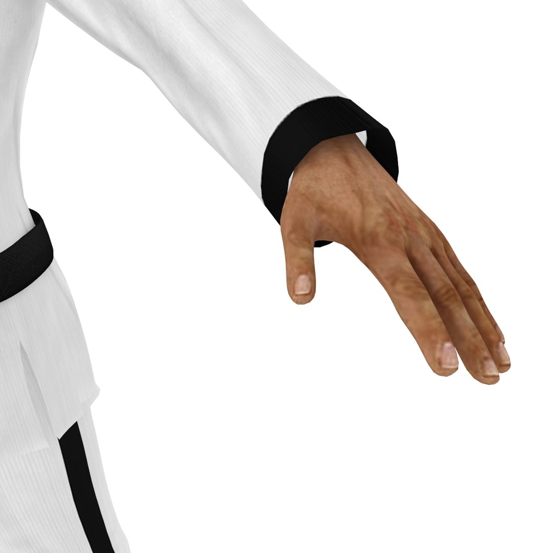 Taekwondo martial artist 3D model - TurboSquid 1292291