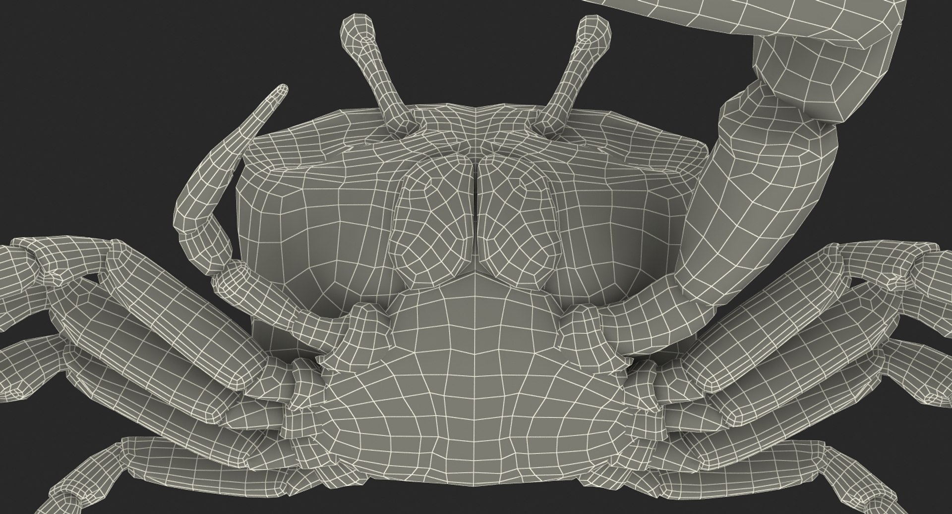 3d Fiddler Crab Model