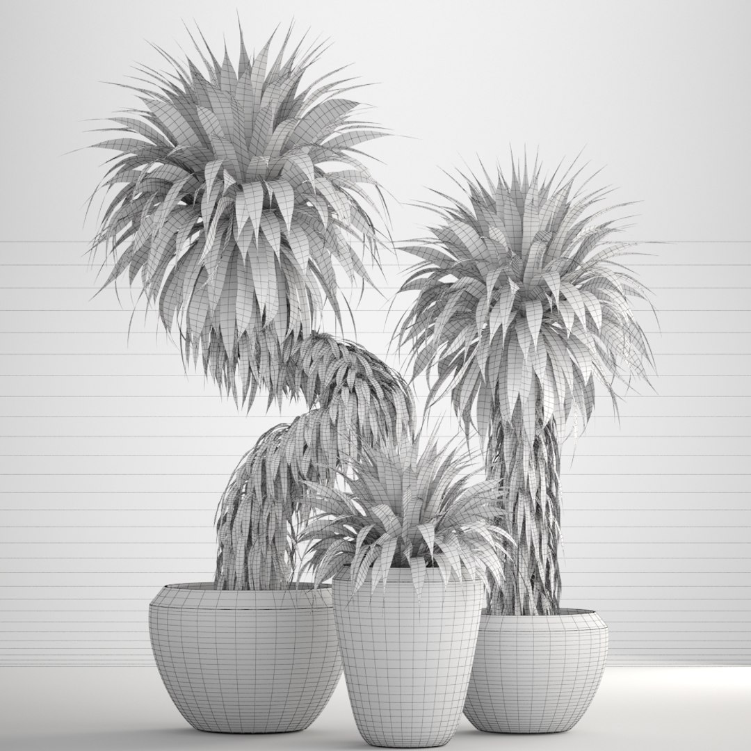 Tropical Plants Yucca 3D Model - TurboSquid 1243521