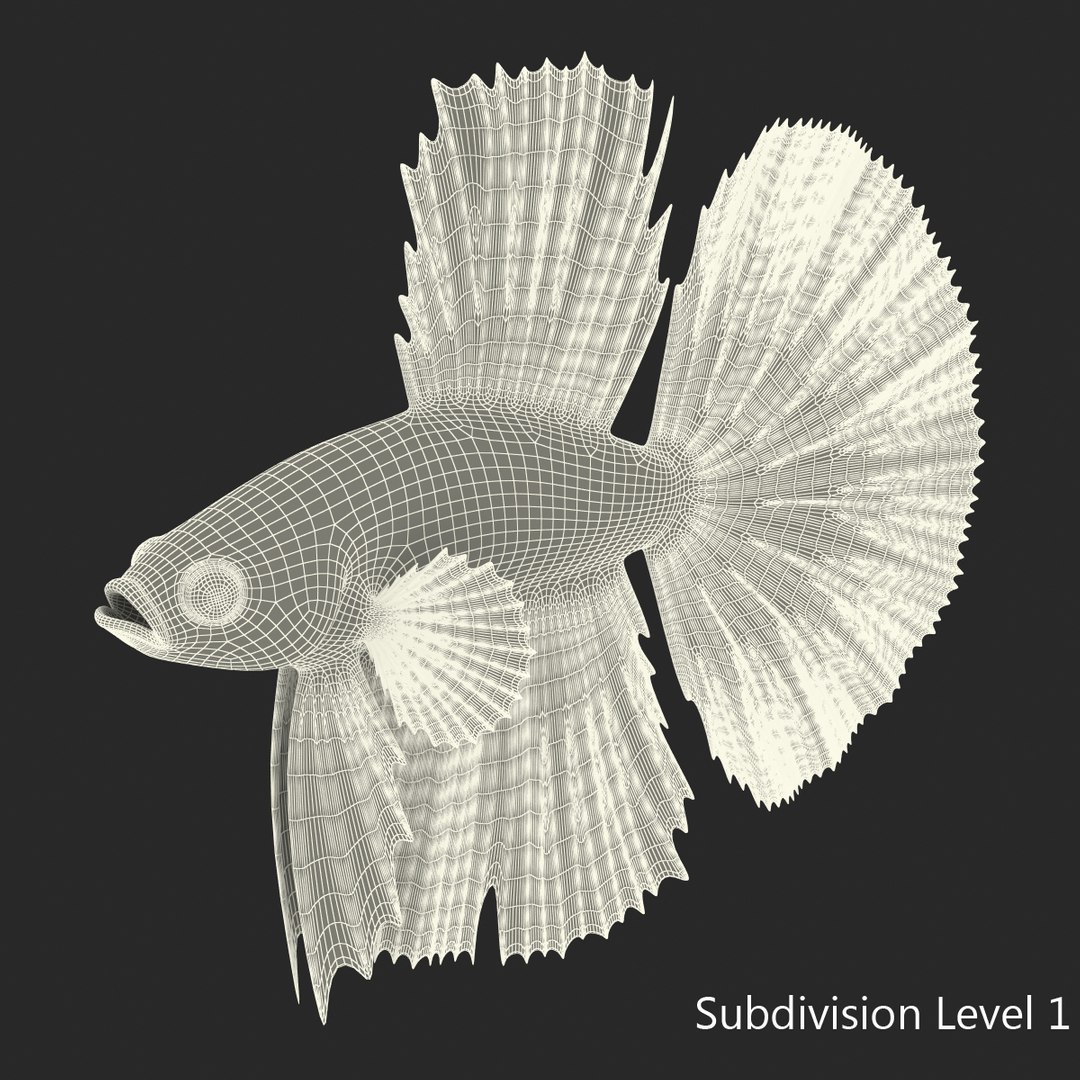 3d Model Betta Fish