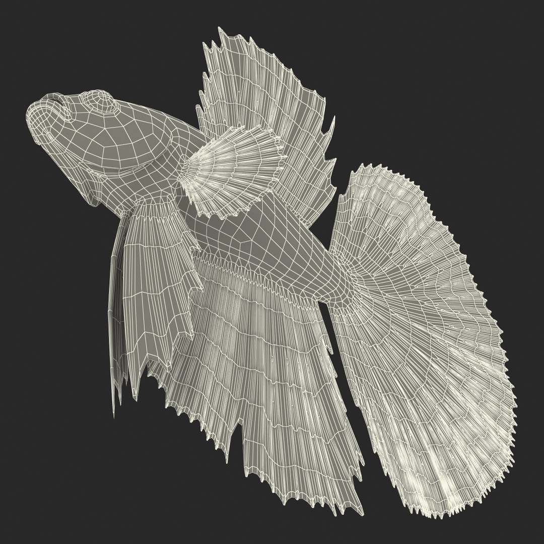 3d Model Betta Fish