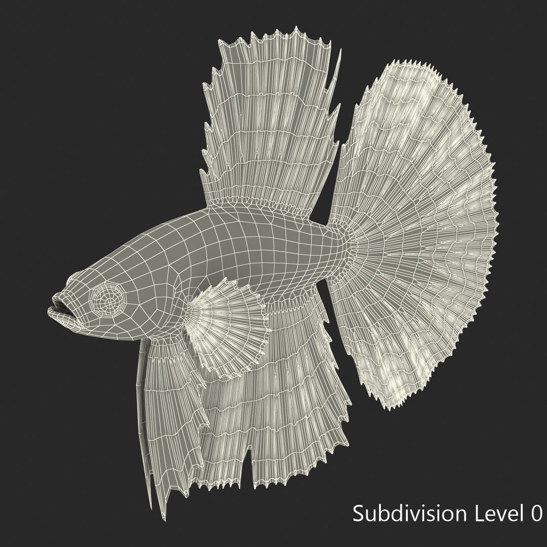 3d Model Betta Fish