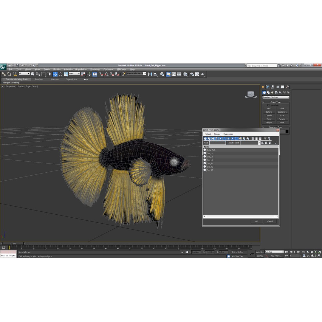 3d Model Betta Fish