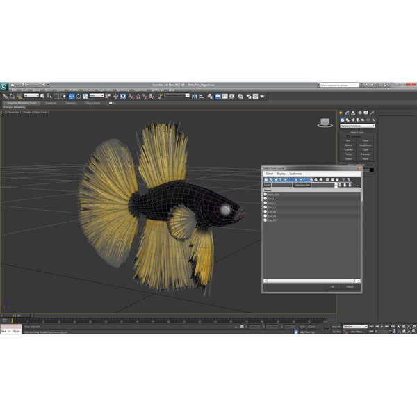 3d model betta fish