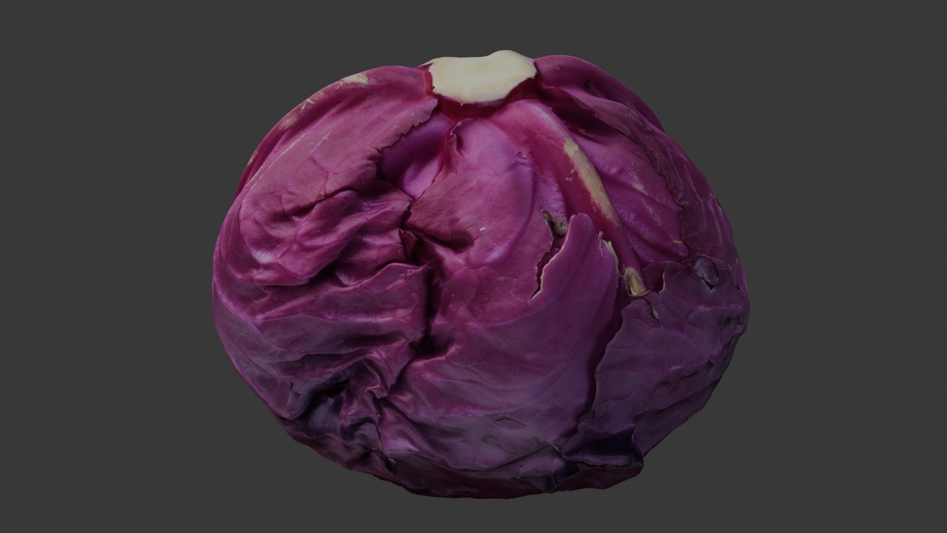 3D Red Cabbage 3D Scan - TurboSquid 2404940