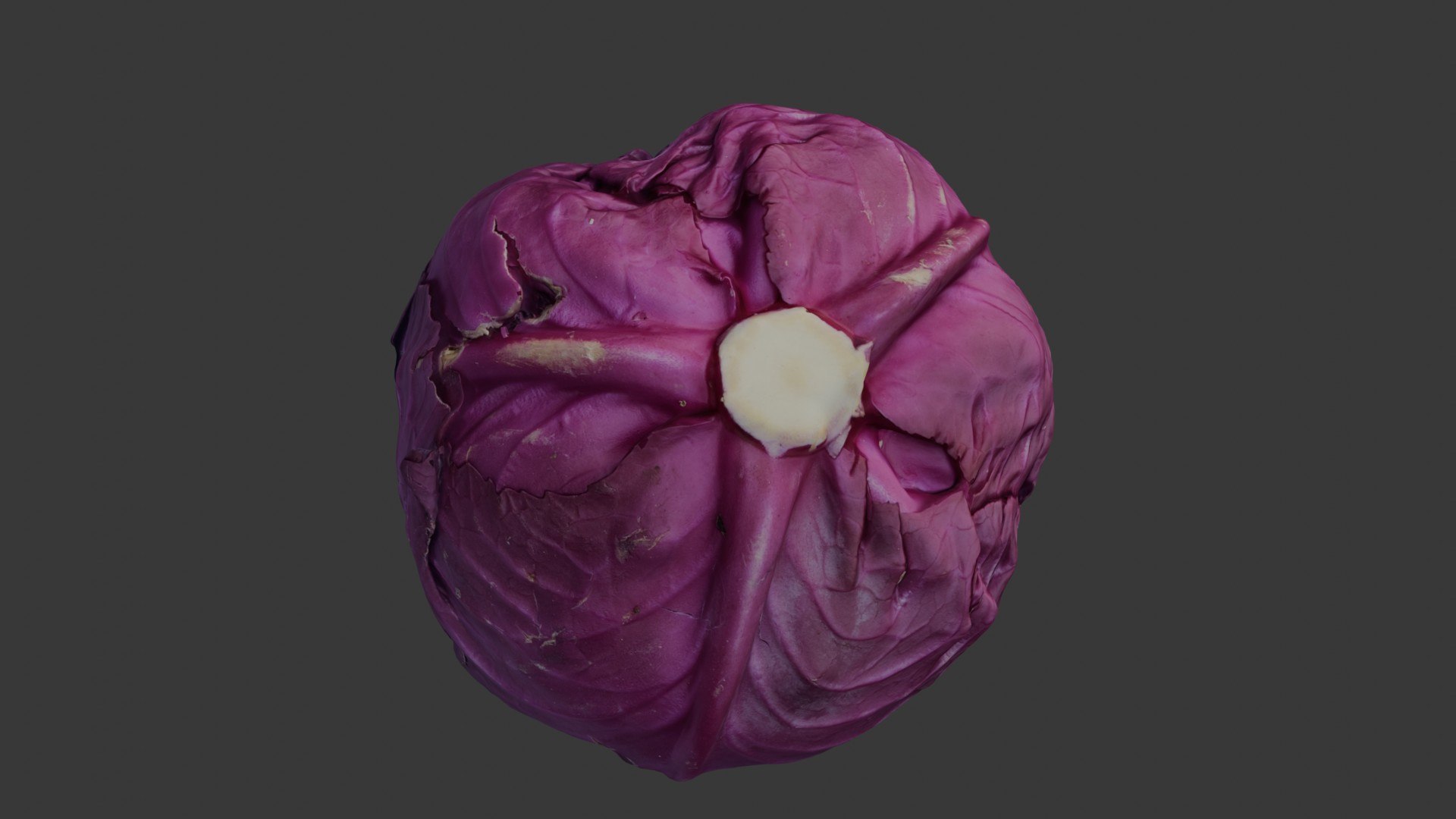 3D Red Cabbage 3D Scan - TurboSquid 2404940