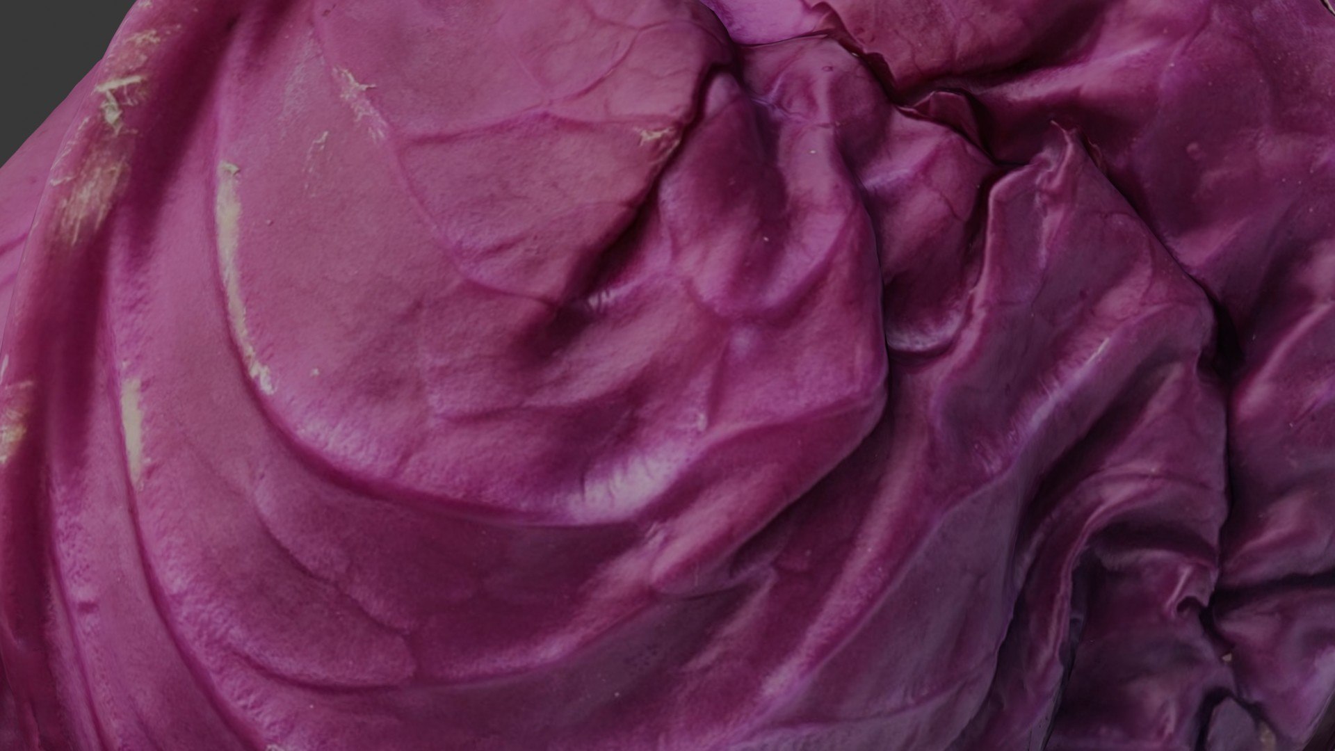 3D Red Cabbage 3D Scan - TurboSquid 2404940