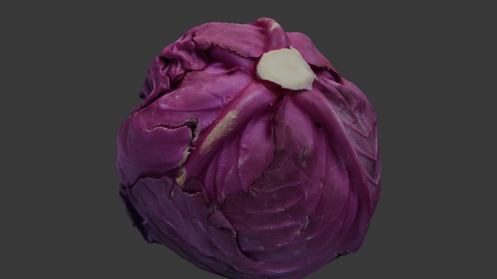 3D Red Cabbage 3D Scan - TurboSquid 2404940