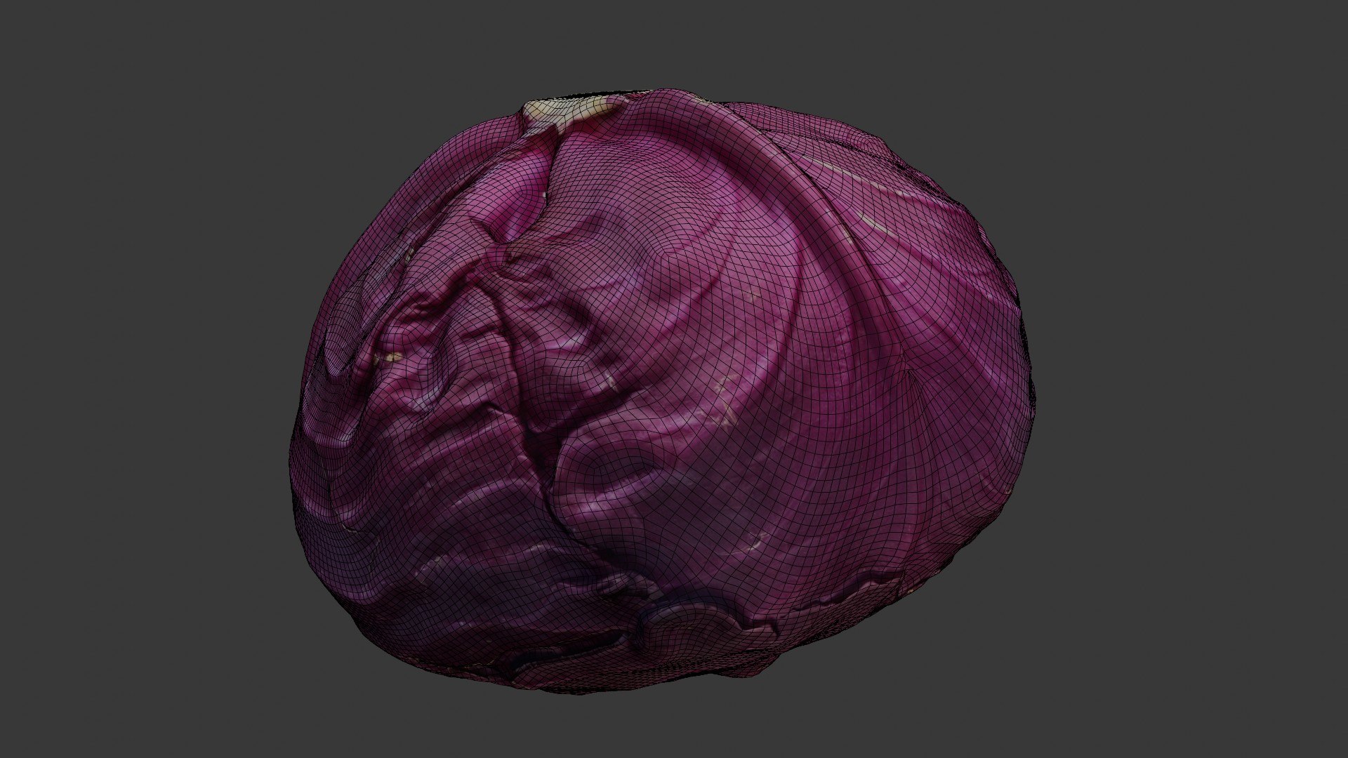 3D Red Cabbage 3D Scan - TurboSquid 2404940
