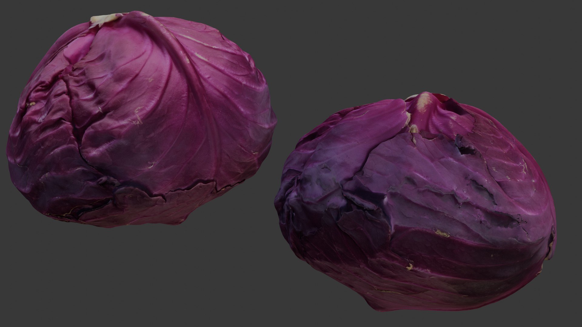 3D Red Cabbage 3D Scan - TurboSquid 2404940