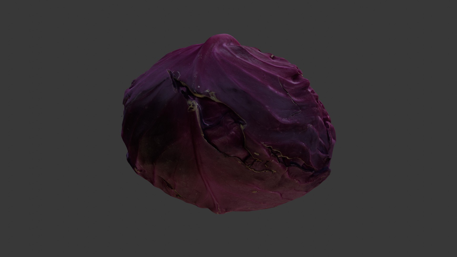 3D Red Cabbage 3D Scan - TurboSquid 2404940