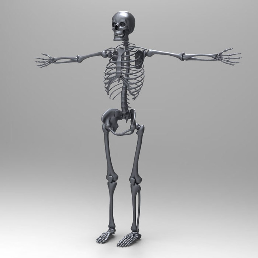 Obj Human Skeleton