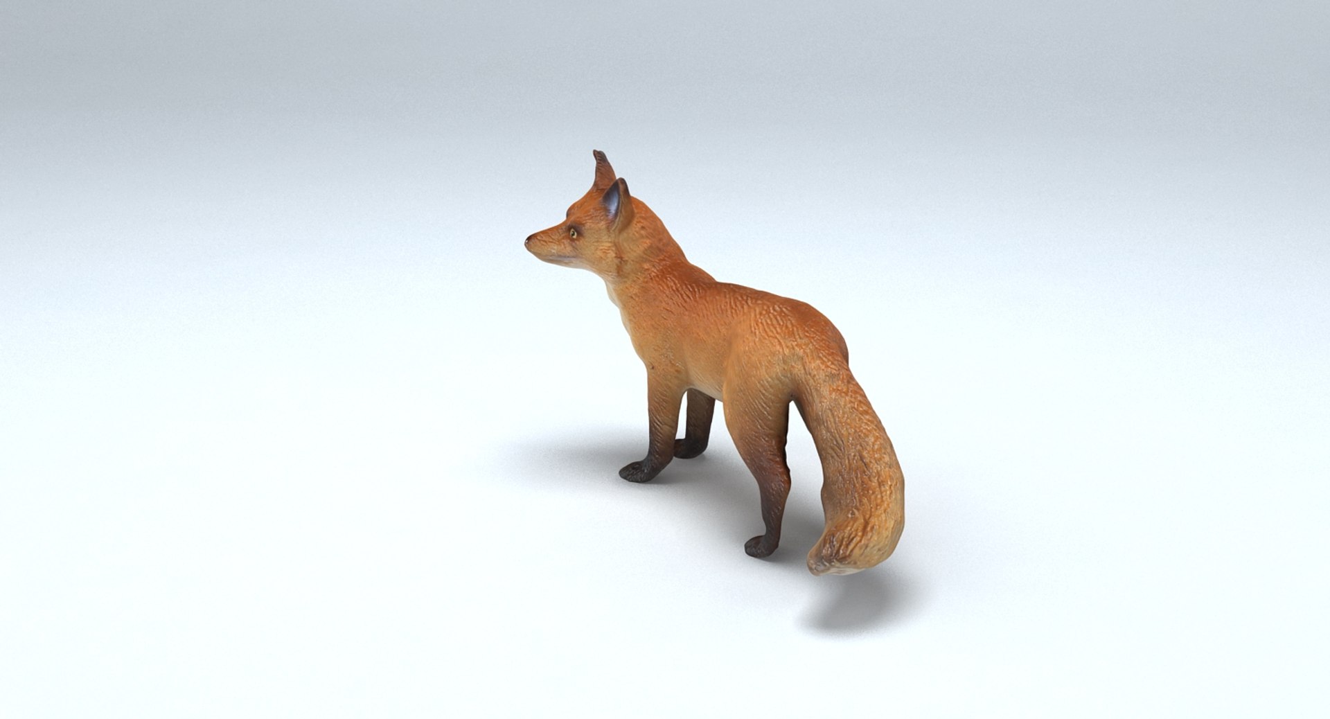 3d Fox Model