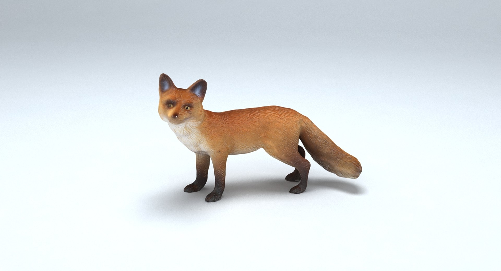 3d Fox Model