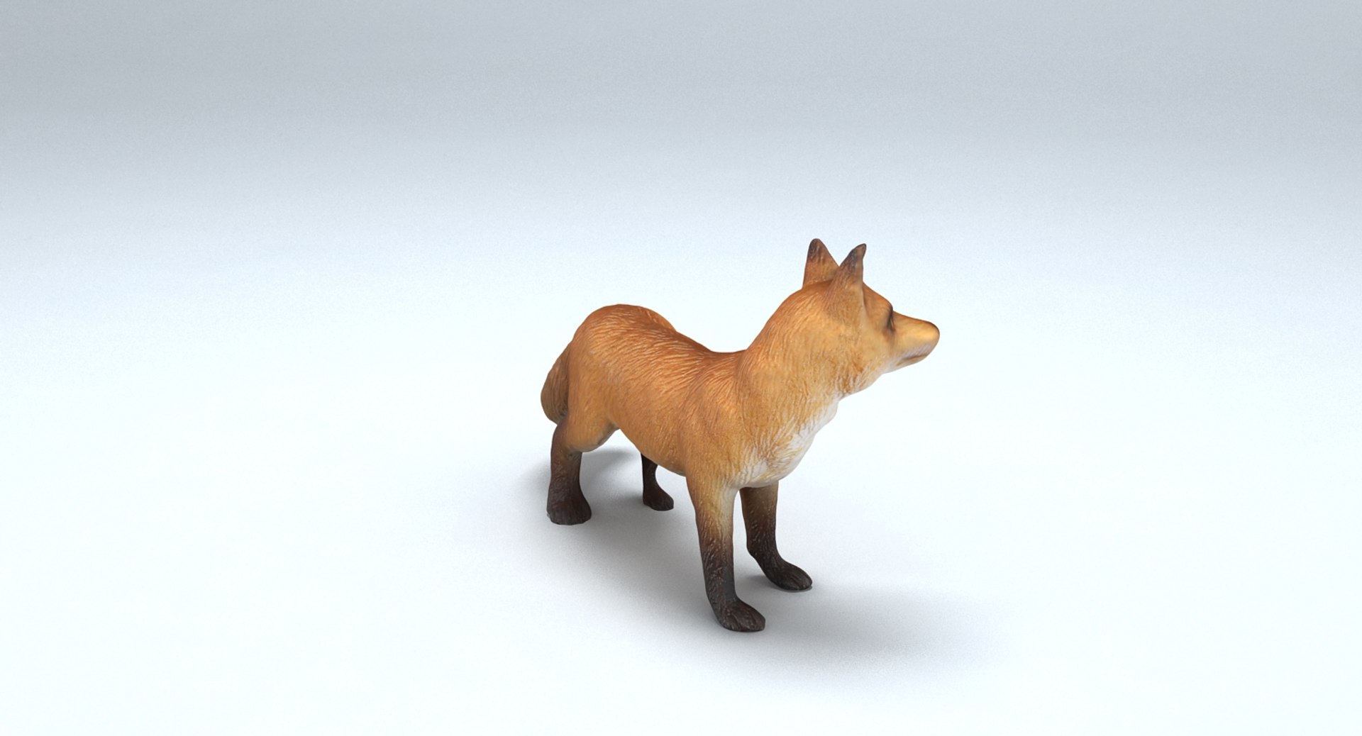 3d Fox Model