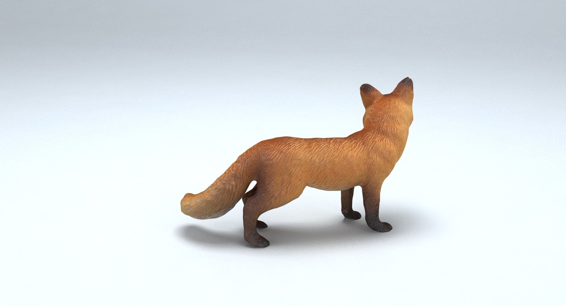3d Fox Model