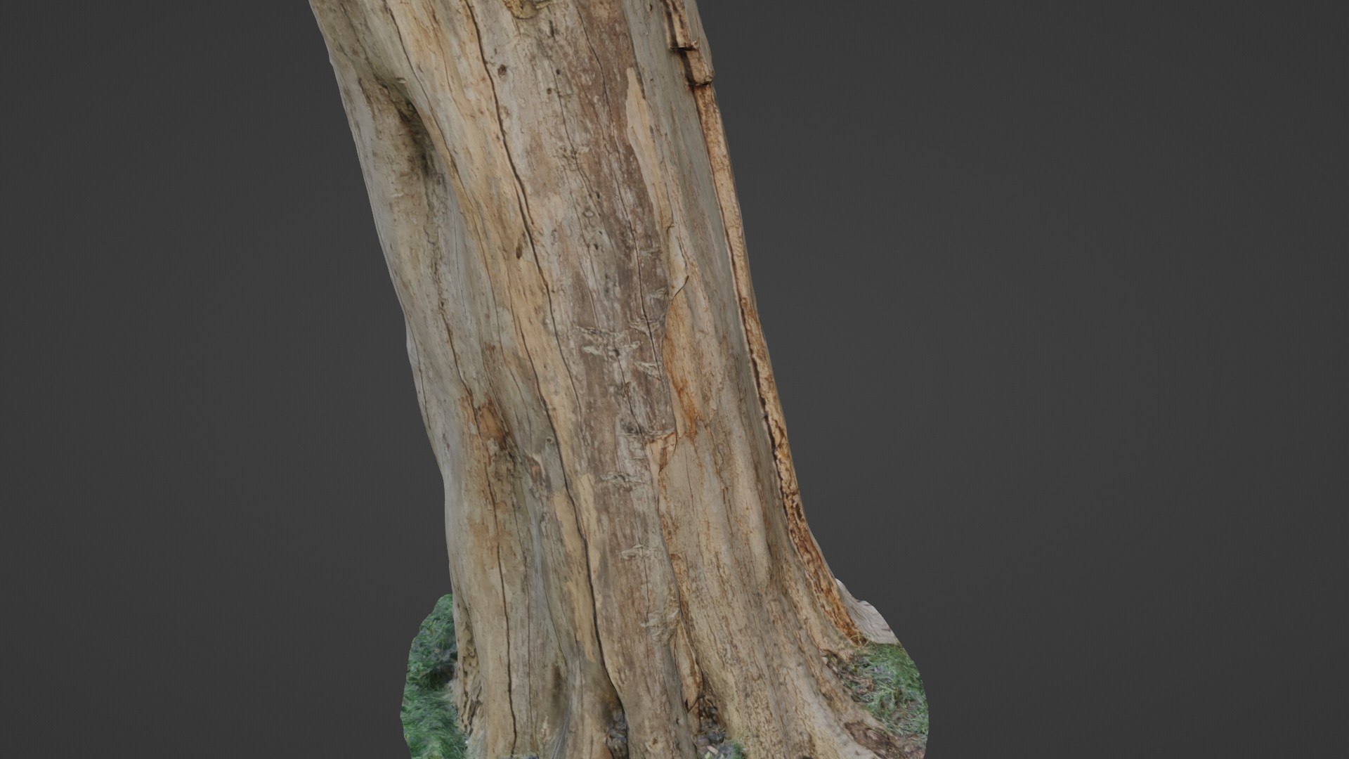 3D Model Trunk - TurboSquid 2329665