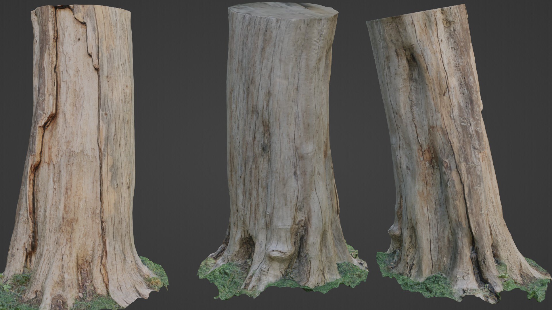 3D Model Trunk - TurboSquid 2329665