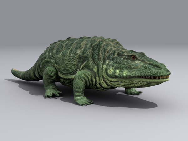 3d eryops amphibians model