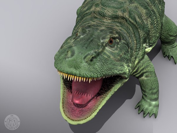 3d eryops amphibians model