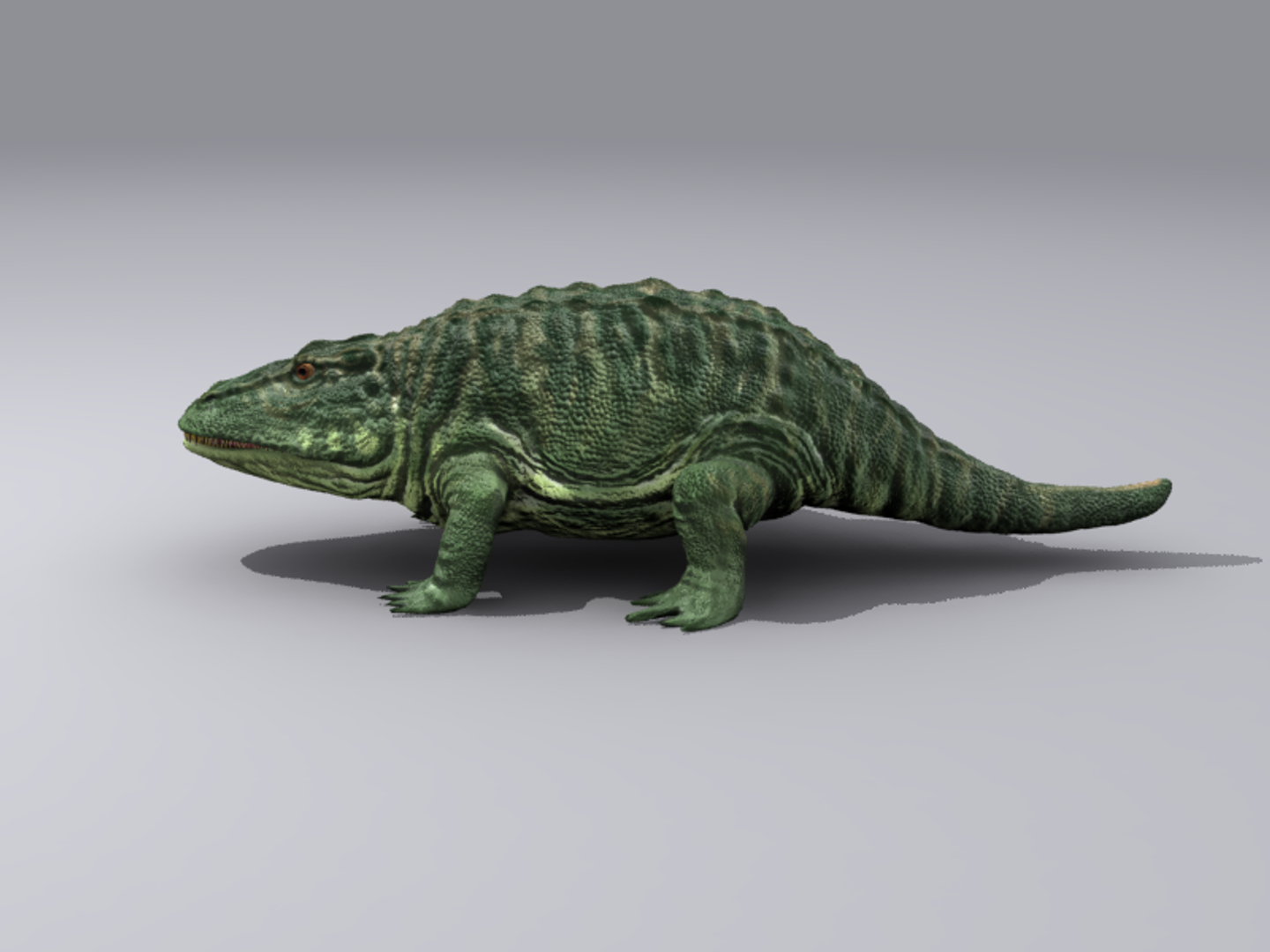 3d Eryops Amphibians Model