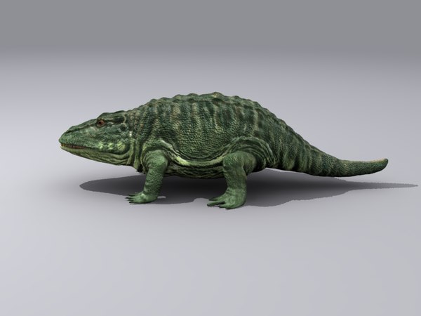 3d eryops amphibians model