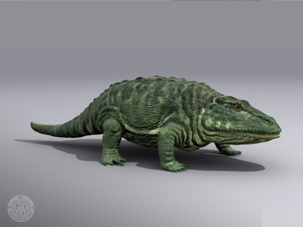 3d eryops amphibians model