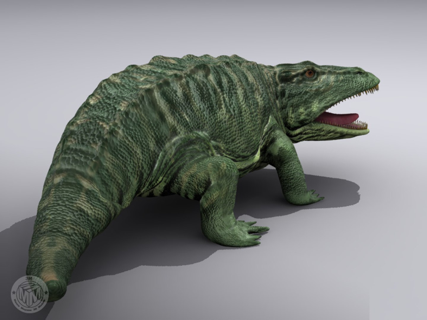 3d Eryops Amphibians Model