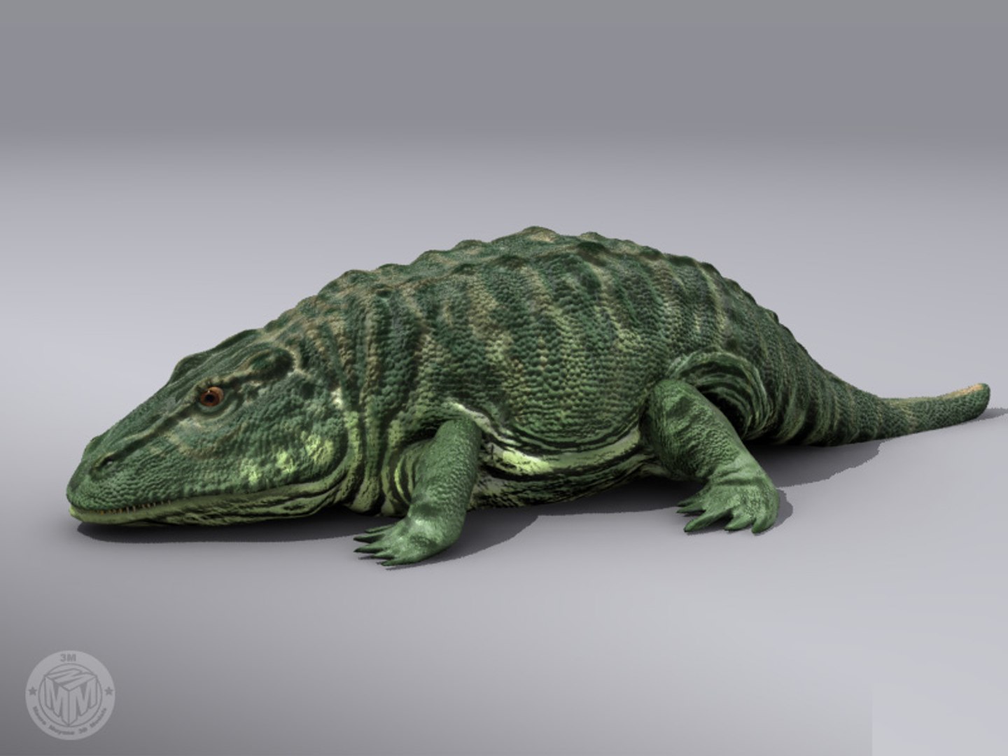 3d Eryops Amphibians Model