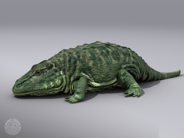 3d eryops amphibians model