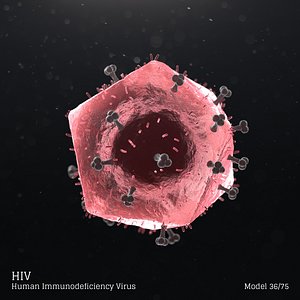 3D HIV Cell Models - Browse & Download Formats - TurboSquid