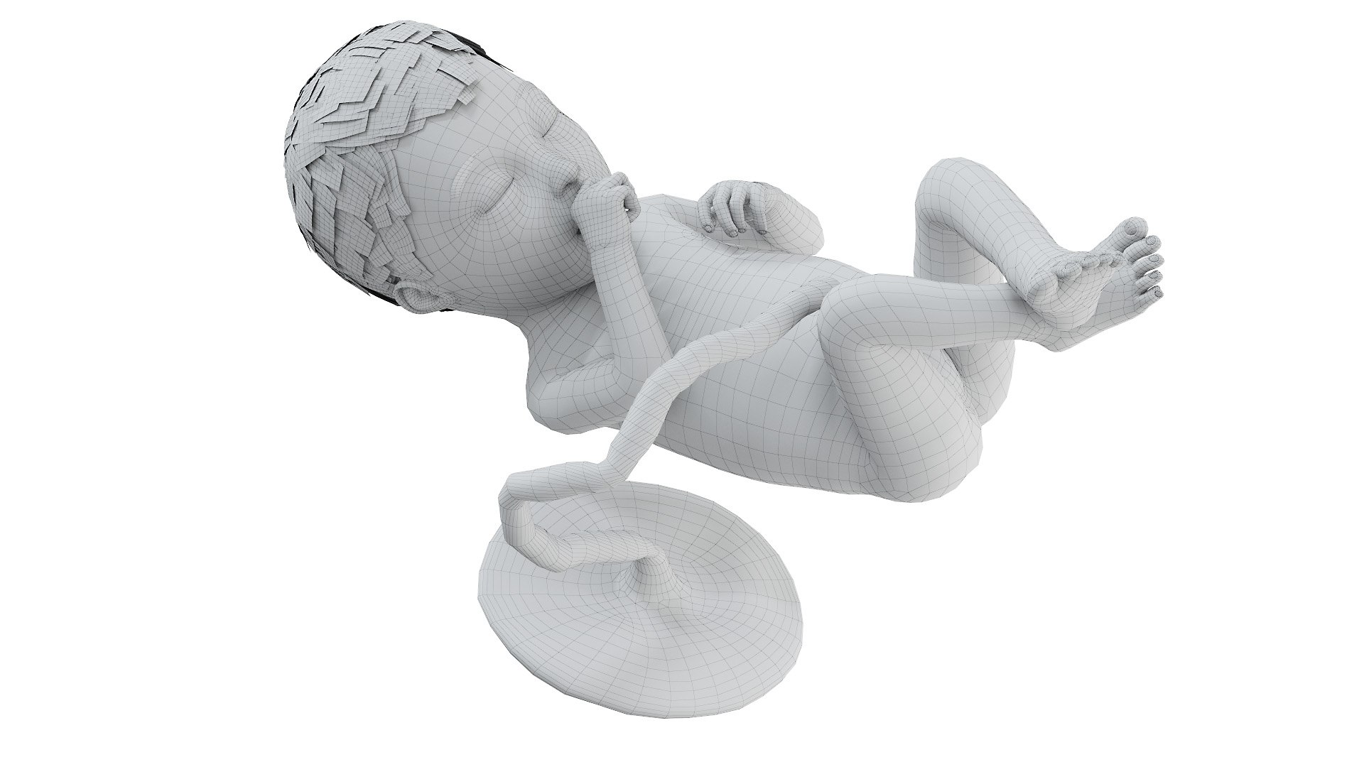 Fetus Week 25 Static 3D - TurboSquid 1871320