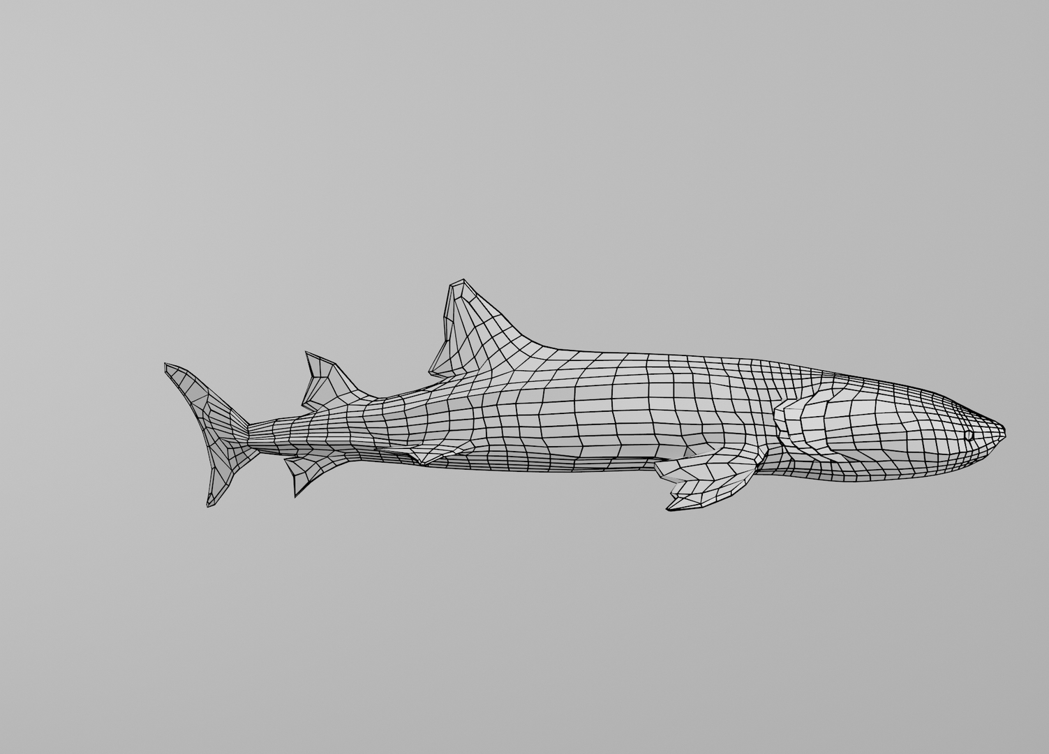 Models Swimming With Whale Sharks