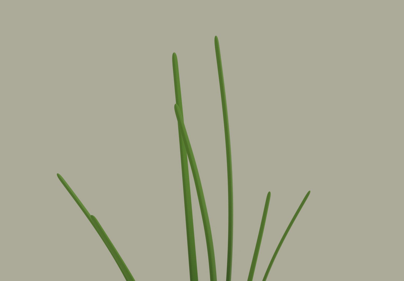 3D Growing Onion Model - TurboSquid 2197449