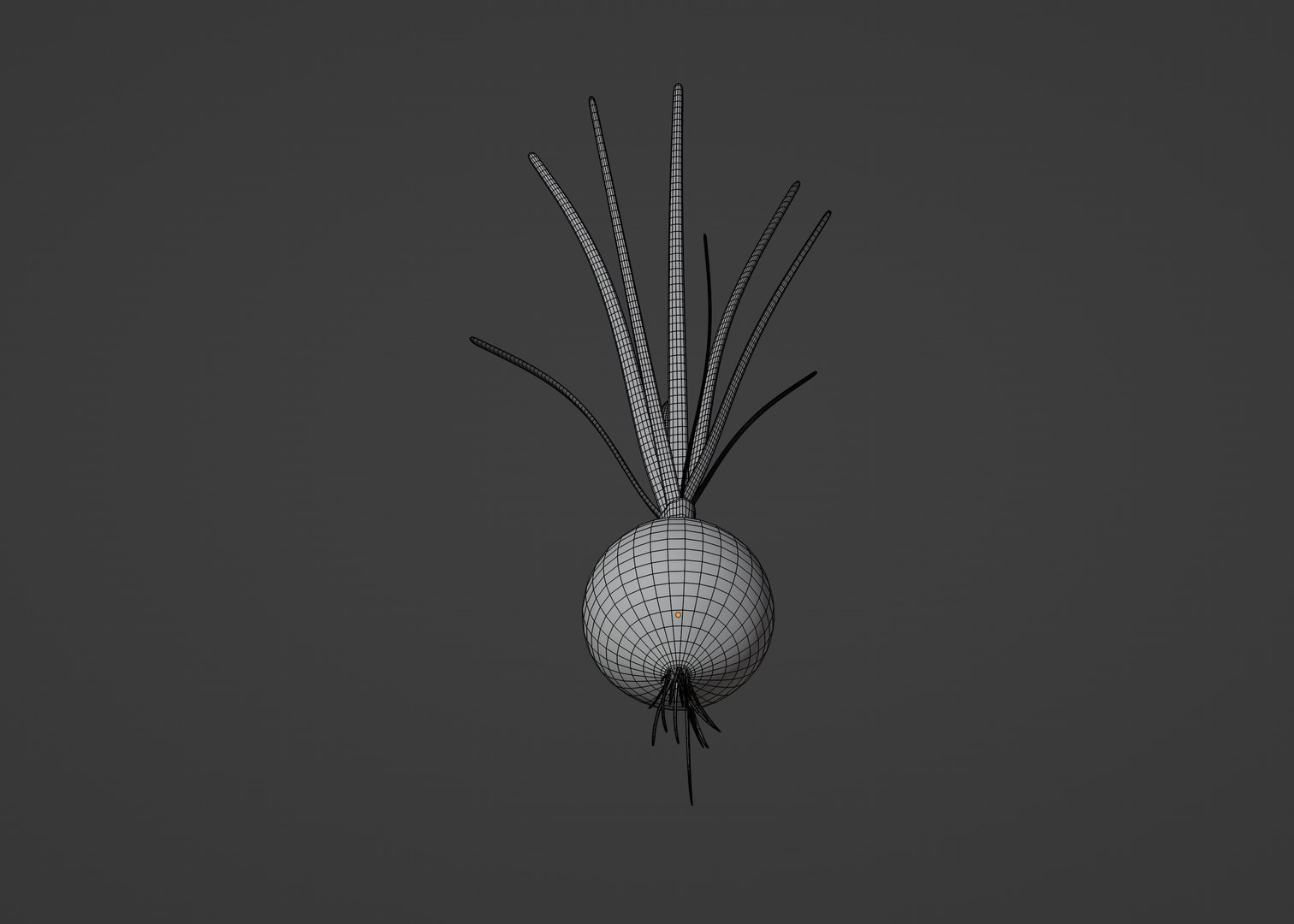 3D Growing Onion Model - TurboSquid 2197449